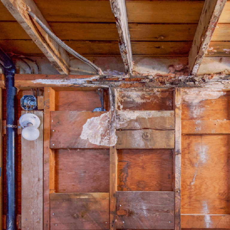 Wood Rot Repair: A DIY Guide For Homeowners